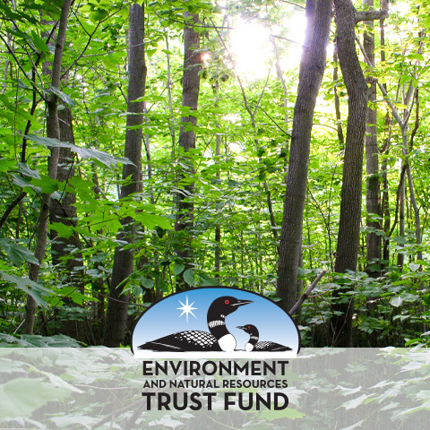 Minnesota Lottery Home - Minnesota Lottery