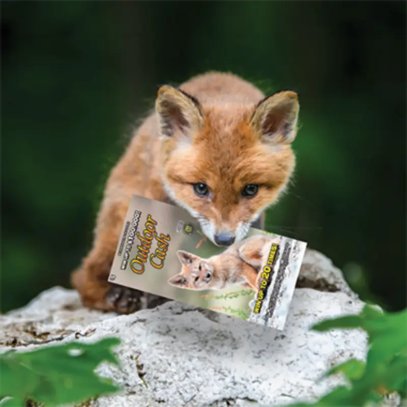 Minnesota Lottery Home - Minnesota Lottery